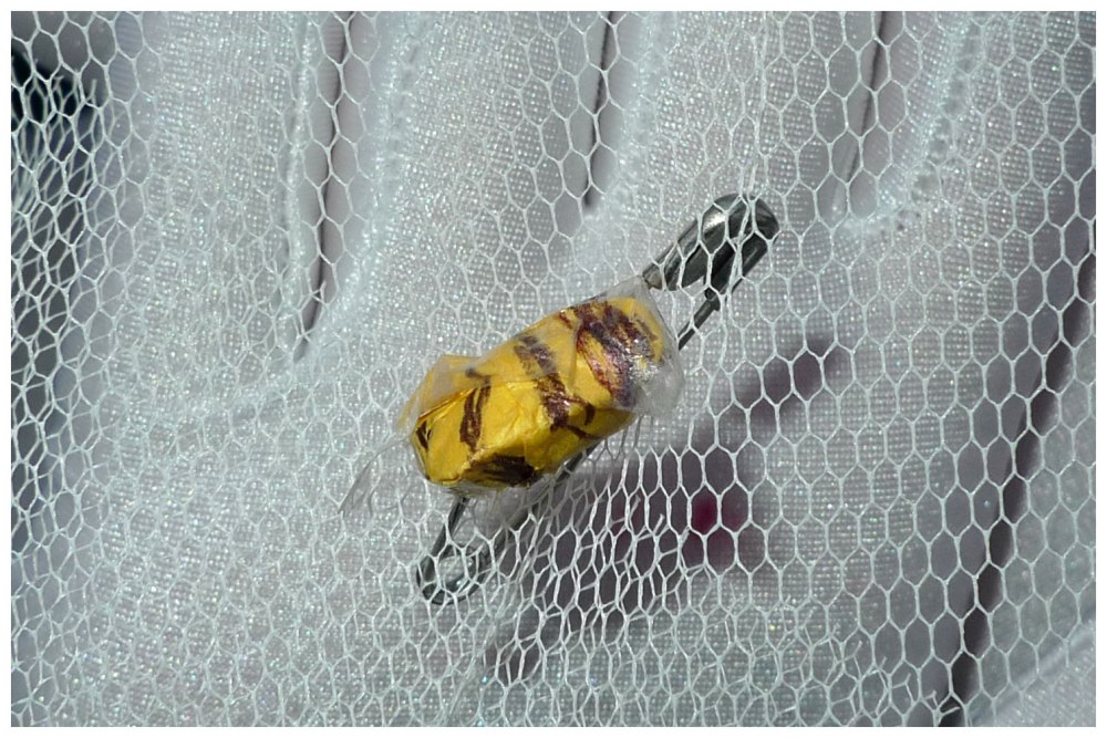 Beekeeper Costume – Theme Me: Costume, Fancy Dress & Theme Inspiration